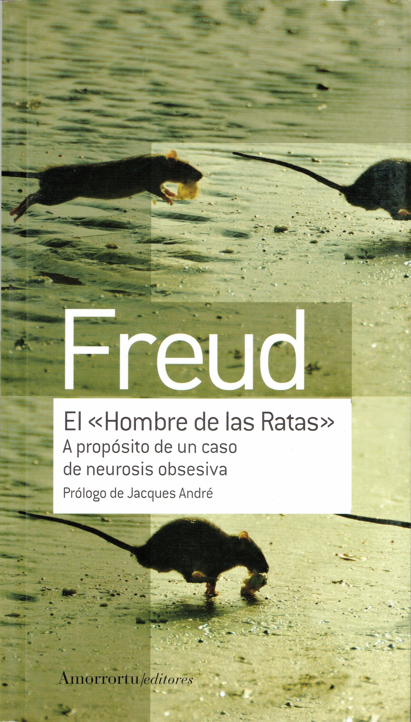 EL "HOMBRE DE LAS RATAS". A PROPÓSITO DE UN CASO DE NEUROSIS OBSESIVA. – Librería Remus